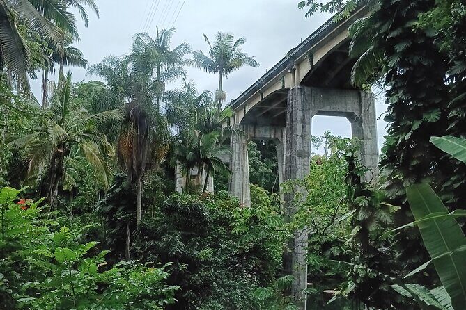 Private Shore Excursion Hilo Land of Frozen Fire up to 14 - Exploring the Big Island’s Natural Beauty and Culture