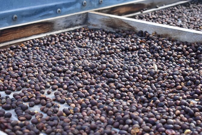 Private Shore Excursion in Gran Canaria - Authenticity and Value: Why This Tour Works