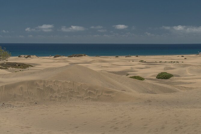 Private Shore Excursion in Gran Canaria the Miniature Continent - Immerse Yourself in the Islands History and Culture