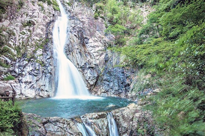 Private Shore Excursion Kobe Port - Best of Kobe With a Local - Indulging in Kobes Renowned Culinary Scene