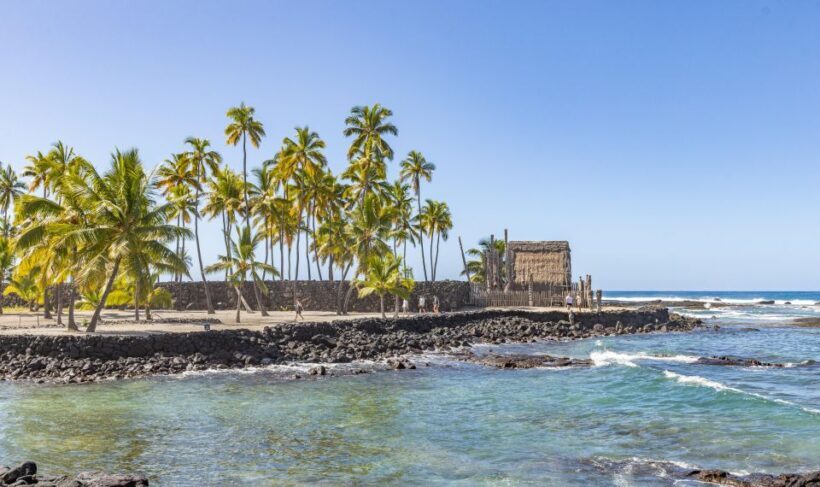 Private Shore Excursion Kona Coffee & National Historic Park - A Detailed Look at the Tour Experience