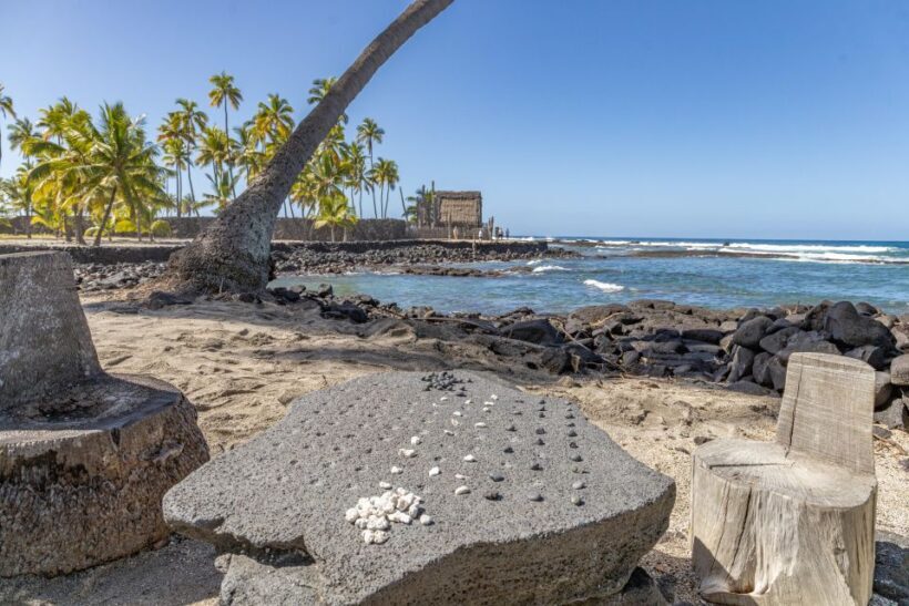 Private Shore Excursion Kona Coffee & National Historic Park - Final Thoughts: Is This Tour Worth It?