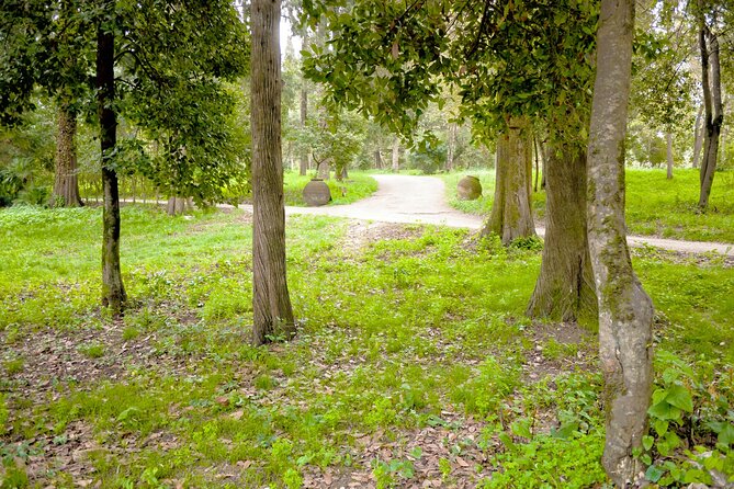 Private Shore Excursion Visit in Corfu with private driver. - The Practicalities and Value