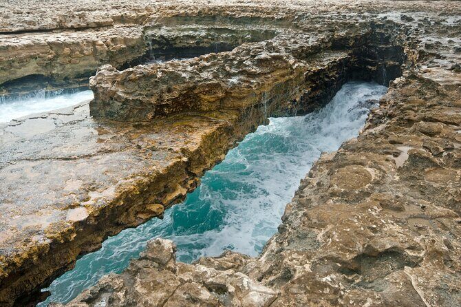 Private Shore Tour: Scenic Experience of Beautiful Antigua - Who Would Love This Tour?