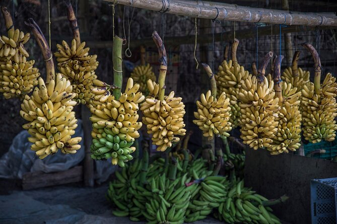 Private Shuttle Cuenca To/From Guayaquil - Notable Customer Feedback