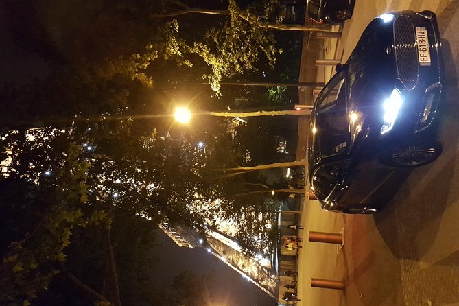 Private Shuttle from Charles de Gaulle Airport to Paris: Premium Service - Who Should Consider This Service?