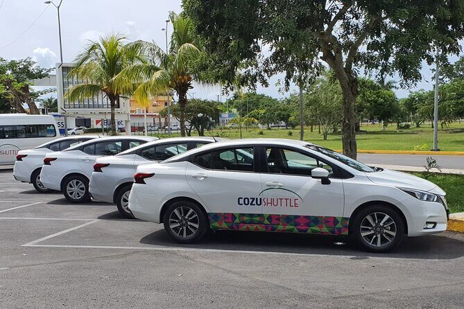 Private Shuttle from Inside Cozumel Airport to hotels in Cozumel - Who Is This Service Perfect For?