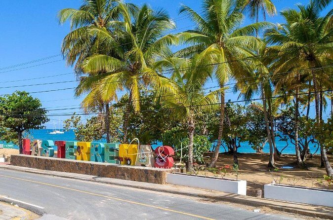 Private Shuttle from Punta Cana to Las Terrenas or Viceversa - An Honest Look at the Experience