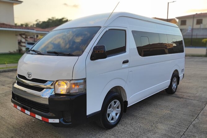 Private Shuttle or Transfer to Dreams or Westin Playa Bonita - Transportation Accessibility