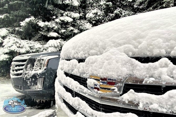 Private Shuttle Service from Eagle Vail Airport to Vail or Beaver - Who Will Benefit Most?