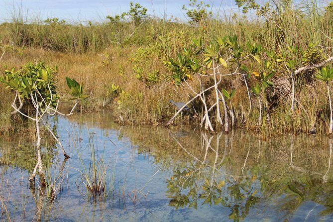 Private Sian Kaan Muyil Lazy River Tour - A Closer Look at the Experience