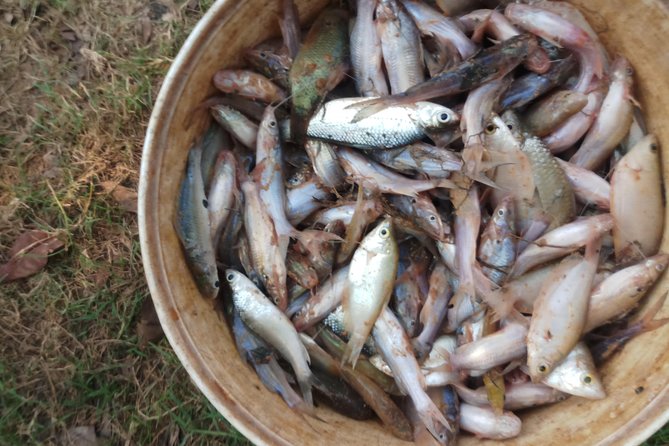 Private Siem Reap Quad Bike Adventure - The Itinerary in Detail: What to Expect at Each Stop