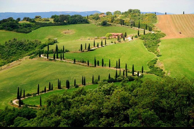 Private Siena and San Gimignano Tour With Wine Tasting From Rome - Important Considerations