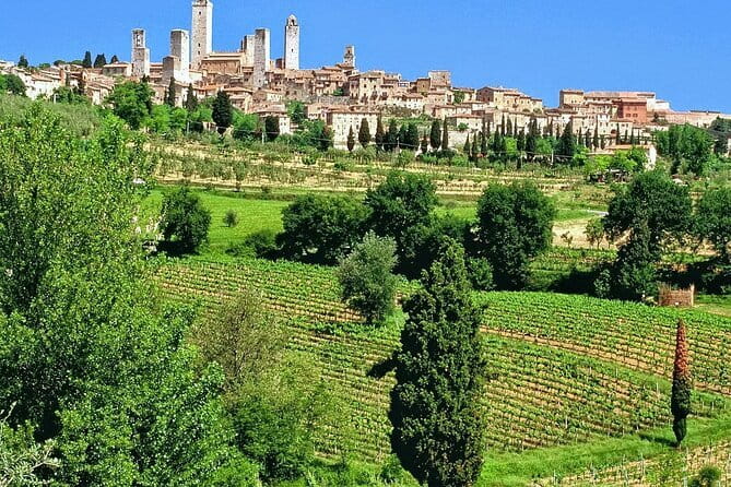 Private Siena, S. Gimignano, Chianti Road and Wine Tasting - Authenticity and Guest Feedback