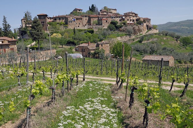 Private Siena to Florence Chianti and San Gimignano Transfer Tour - The Practicalities and Value