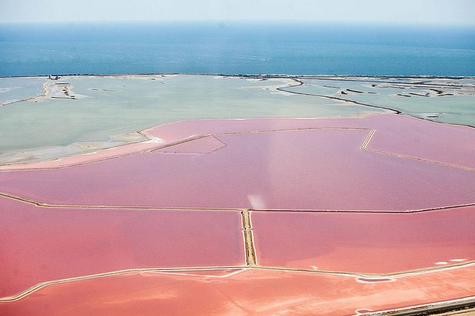 Private Sightseeing Flight over Montpellier and Camargue - Authenticity and Value