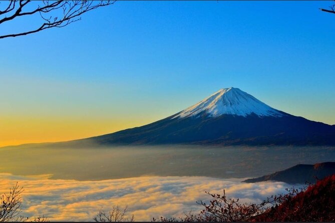 Private Sightseeing Full Day to Mt Fuji and Hakone - Key Points