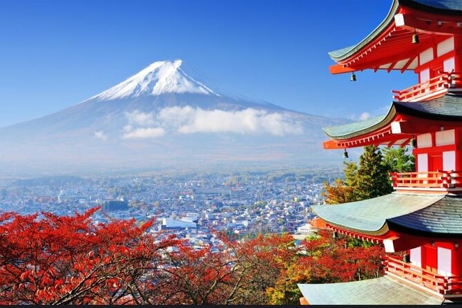 Private Sightseeing Full Day to Mt Fuji and Hakone - Tour Guide Expertise