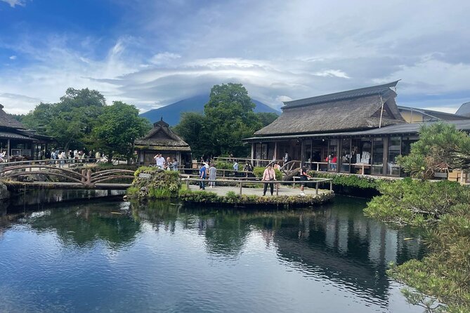 Private Sightseeing Full Day to Mt Fuji and Hakone - Customer Feedback and Testimonials