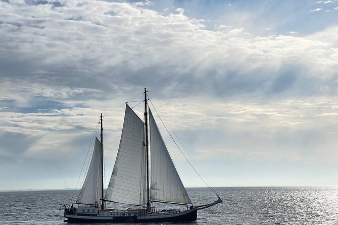 Private Sightseeing in a Volvo XC 90 All Inclusive Museum/Guiding - Polar Museum