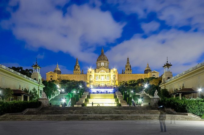 Private Sightseeing in Barcelona By Night - Why the Experience Can Be Hit or Miss