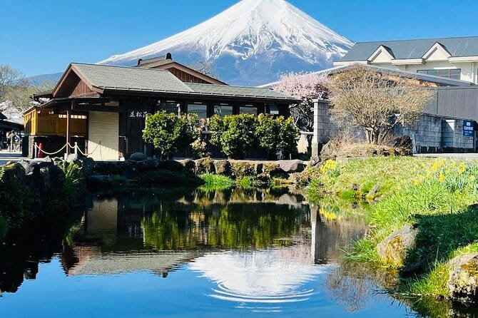 Private Sightseeing to Mt Fuji and Hakone with English Driver - Why This Tour Offers Good Value