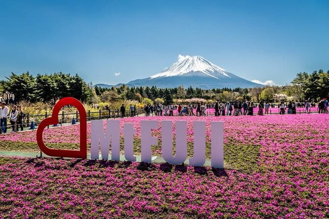 Private Sightseeing to Mt Fuji and Hakone with English Driver - Frequently Asked Questions