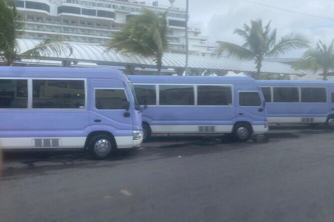 Private Sightseeing Tour Around Nassau by Bus - Key Points