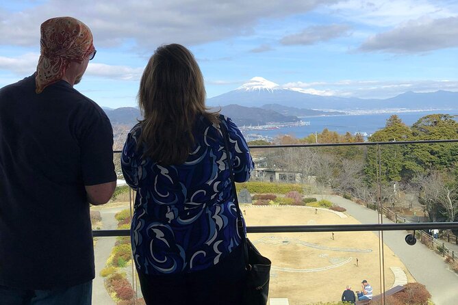 Private Sightseeing Tour From Shimizu Port / Sedan Taxi - Guide and Driver Experience