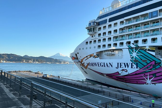 Private Sightseeing Tour From Shimizu Port / Sedan Taxi - Customer Reviews and Feedback