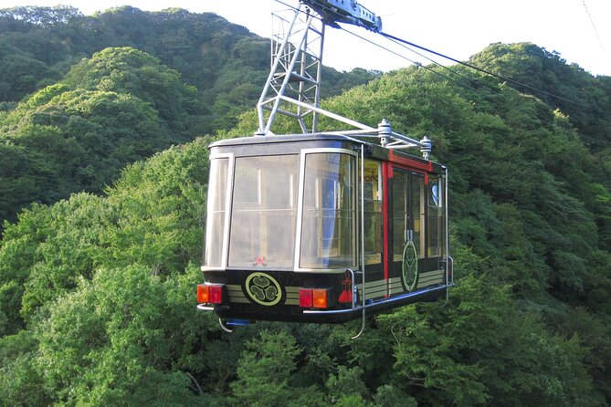 Private Sightseeing Tour From Shimizu Port /Small Bus - Transportation and Accessibility