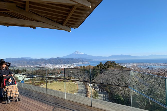 Private Sightseeing Tour From Shimizu Port / Van Taxi - Meeting and Logistics