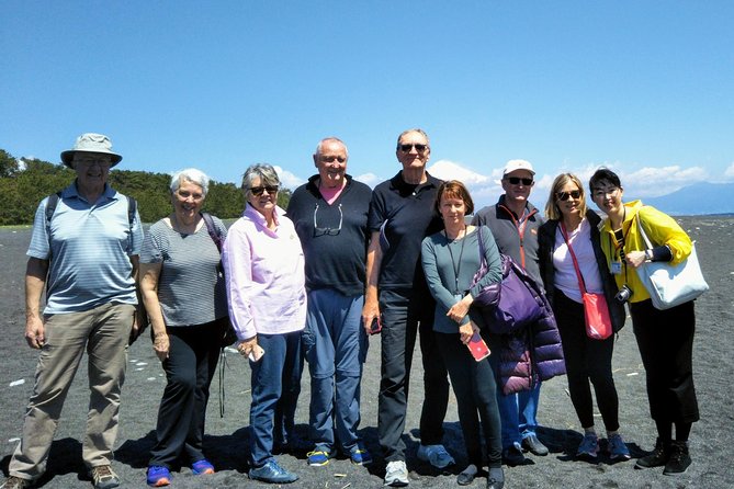 Private Sightseeing Tour From Shimizu Port / Van Taxi - Highlights of the Tour