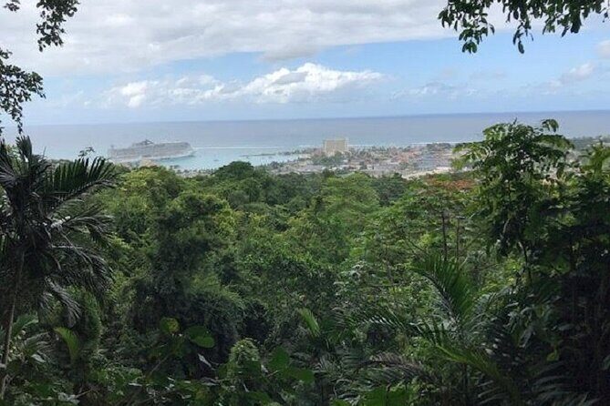 Private Sightseeing Tour in & Around Ocho Rios - An In-Depth Look at What This Tour Offers