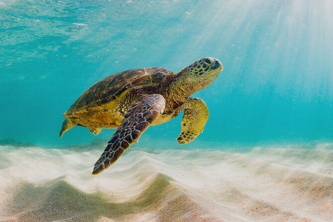 Private Sightseeing Tour in Nassau with Lunch - Practical Details: What You Need to Know