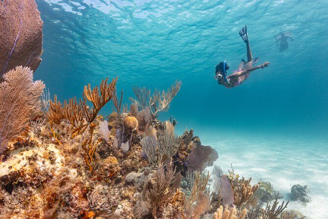 Private Sightseeing Tour in Nassau with Lunch - Who Should Consider This Tour?