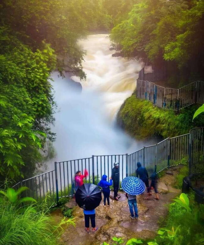 Private Sightseeing Tour of Pokhara city - What You Need to Know Before Booking