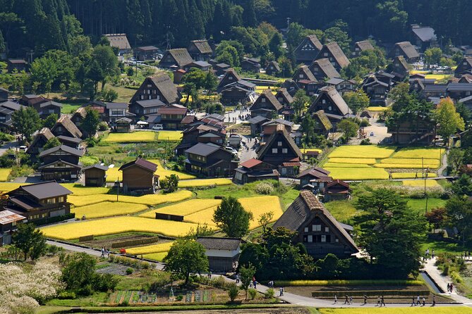 Private Sightseeing Tour to Shirakawago and Takayama From Nagoya - Exploring Shirakawago