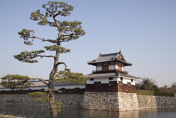 Private Sightseeing Walking Tour in Hiroshima With a Guide - Exploring Hiroshimas History and Natural Beauty