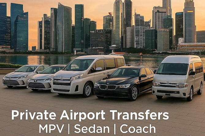 Private Singapore Arrival Transfer: Airport or Cruise Terminal to City - What the Journey Looks Like