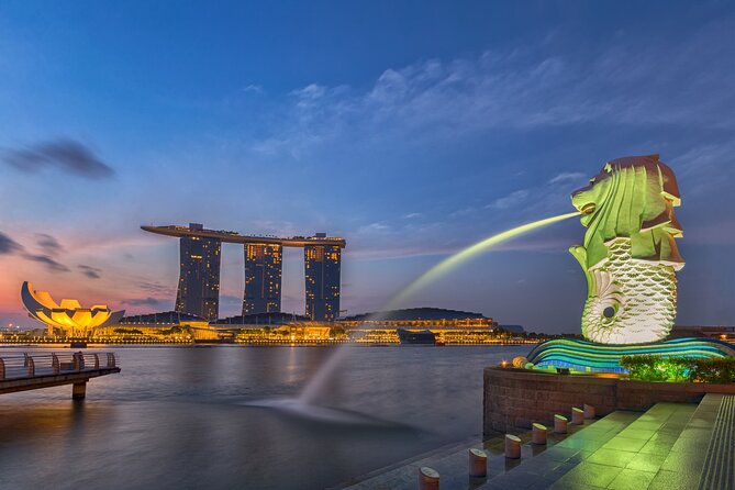 Private Singapore Customized Tour With Driver in small group - Who Should Consider This Tour?