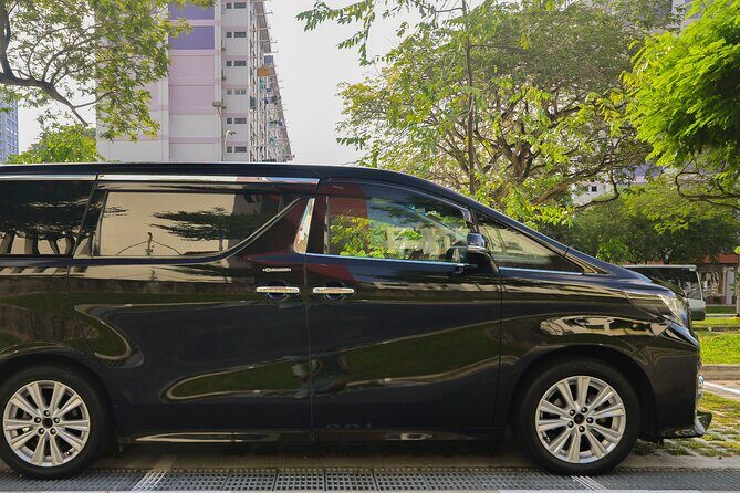 Private Singapore Departure in Mini Van from Hotel to Changi Airport - Key Points