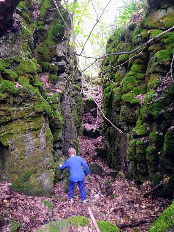Private Singhampton Caves Hike - Collingwood/Blue Mountain - Post-Hike Dining Options