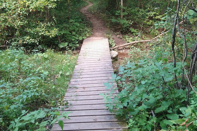 Private Singhampton Caves Hiking Tour, Collingwood/Blue Mountain - FAQ