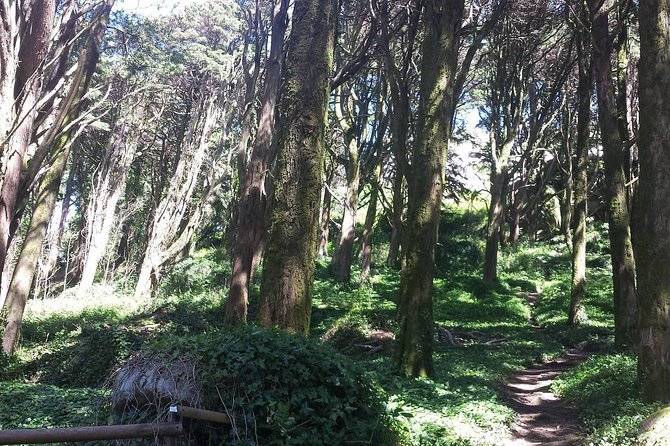Private Sintra Day Trip from Lisbon with Wine Tasting and Monserrate Palace - The Sum Up