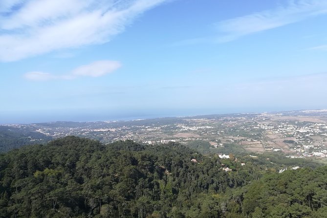 Private Sintra, Pena Palace, Cabo Da Roca and Cascais Full Day - Traveler Reviews and Feedback