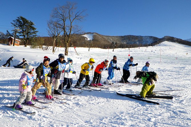 Private Ski Lesson for Family or Group(Transport Included ) - Included Services