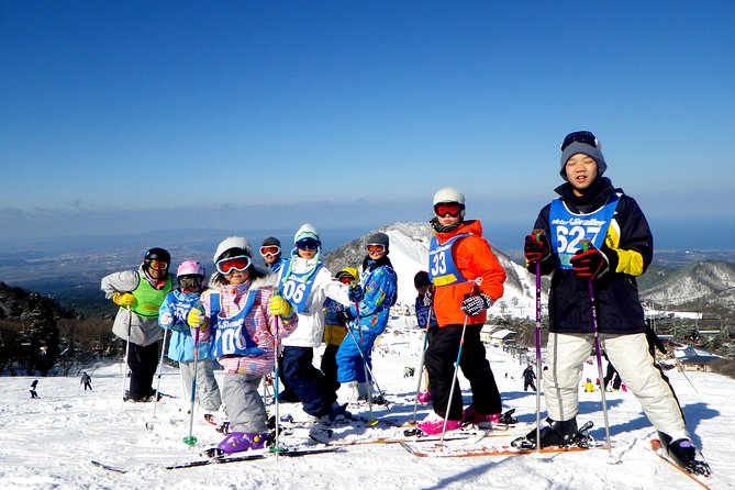 Private Ski Lesson for Family or Group(Transport Included ) - Meeting and Logistics