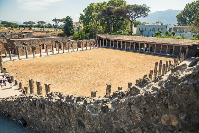 Private Skip-The-Line Pompeii & Mt. Vesuvius Tour From Positano - Pricing and Booking Information