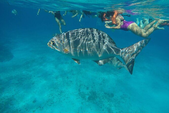 Private Sky Snorkeling Tour - An Introduction to the Tour Experience